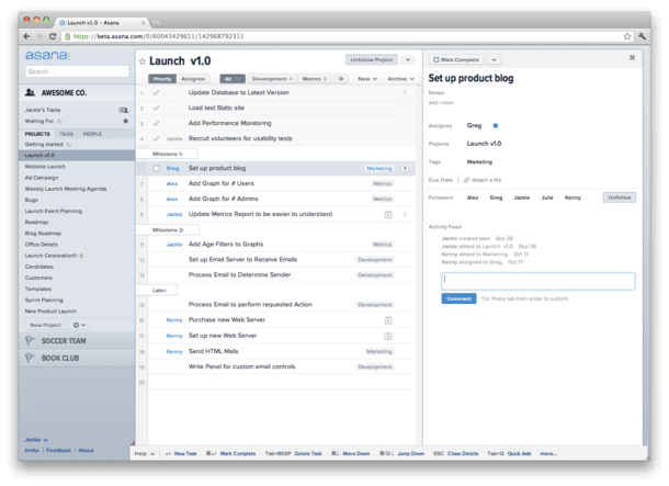Simple Guide to Use Asana for Managing a Software Development Project